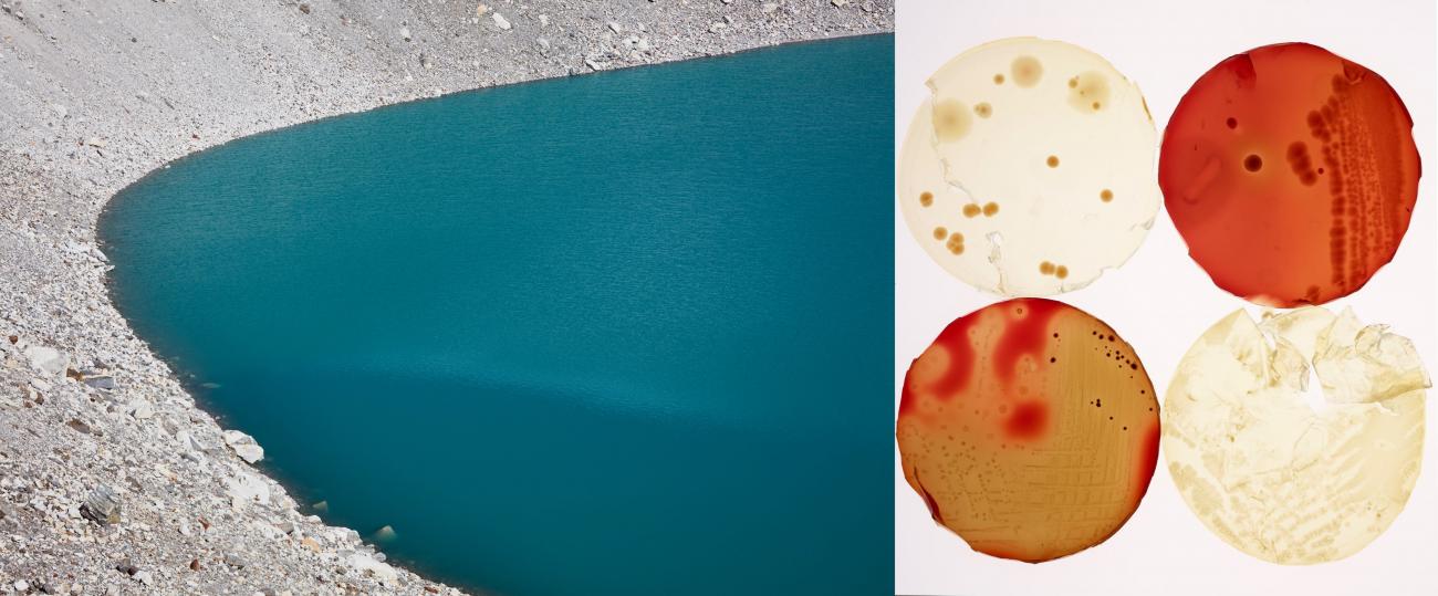 Interview with Christopher Parsons - Project Pressure - Art, Science ...